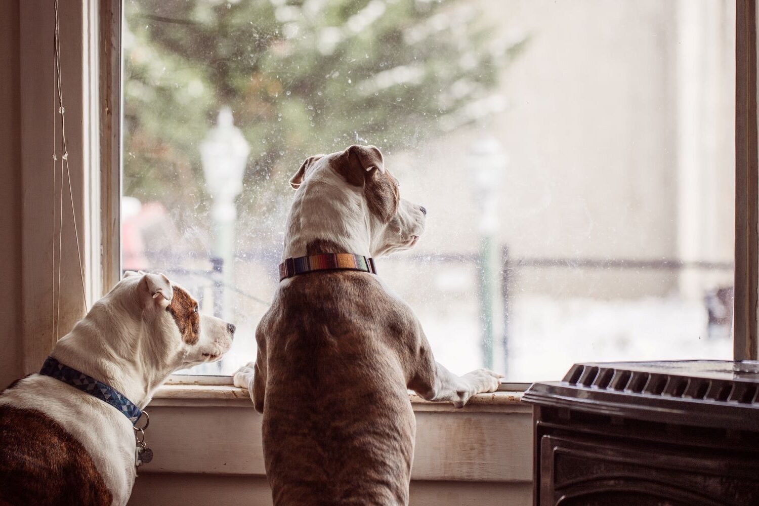 Tri-Source Pharma – Oncology, Sedation, and Pain Managment